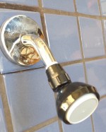 Full Spray Shower , Showers Plus Online Shop - Showers Plus